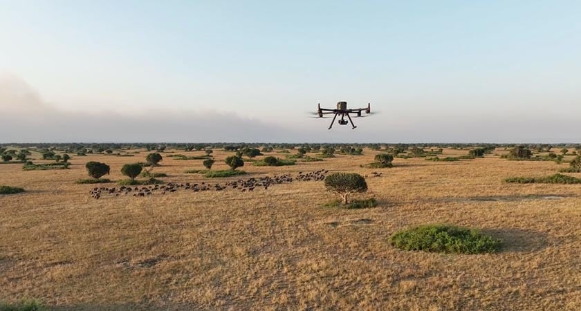 Drones Revolutionize African Lion Conservation in Uganda: A New Era of ...