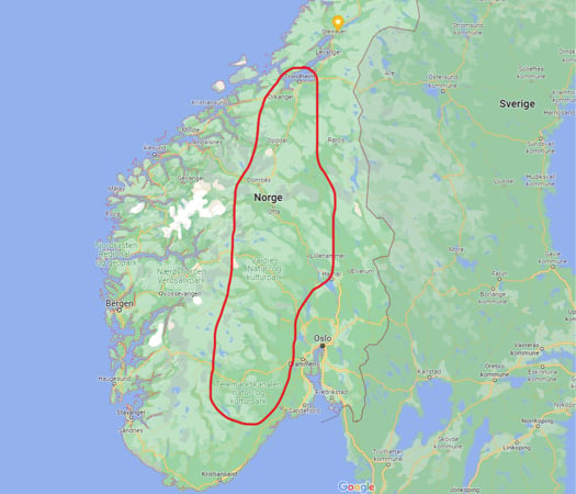 Saving Norway’s Forests: Biodrone Deploys M300 RTK and AI to Elevate ...