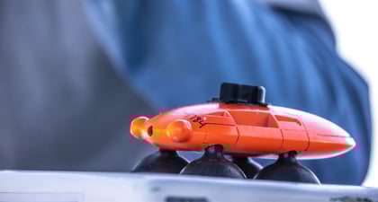 Tagging Whales From Above: How Drones are Transforming Marine Research ...