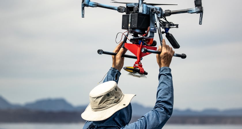 Tagging Whales From Above: How Drones are Transforming Marine Research ...