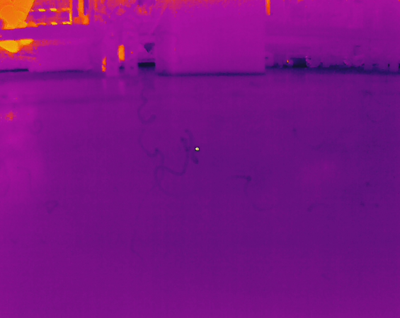 The Basics of Thermal Drones