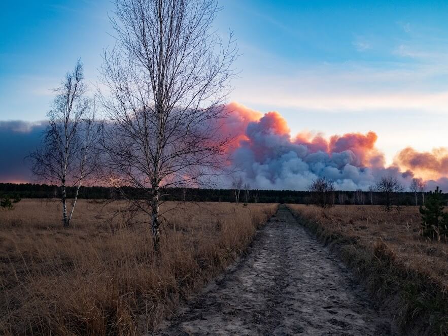 Chernobyl: Massive Wildfire Extinguished with the Help of Drones