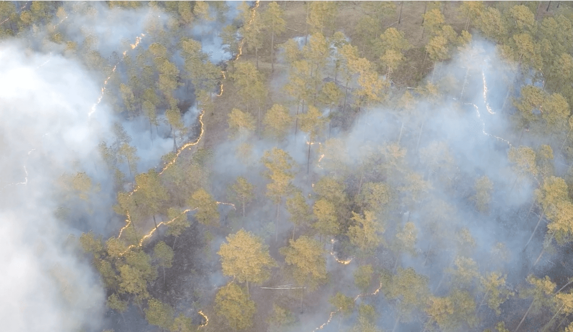 How The Nature Conservancy Uses Wildfire Drones to Protect Our Forests