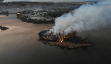Chernobyl: Massive Wildfire Extinguished with the Help of Drones